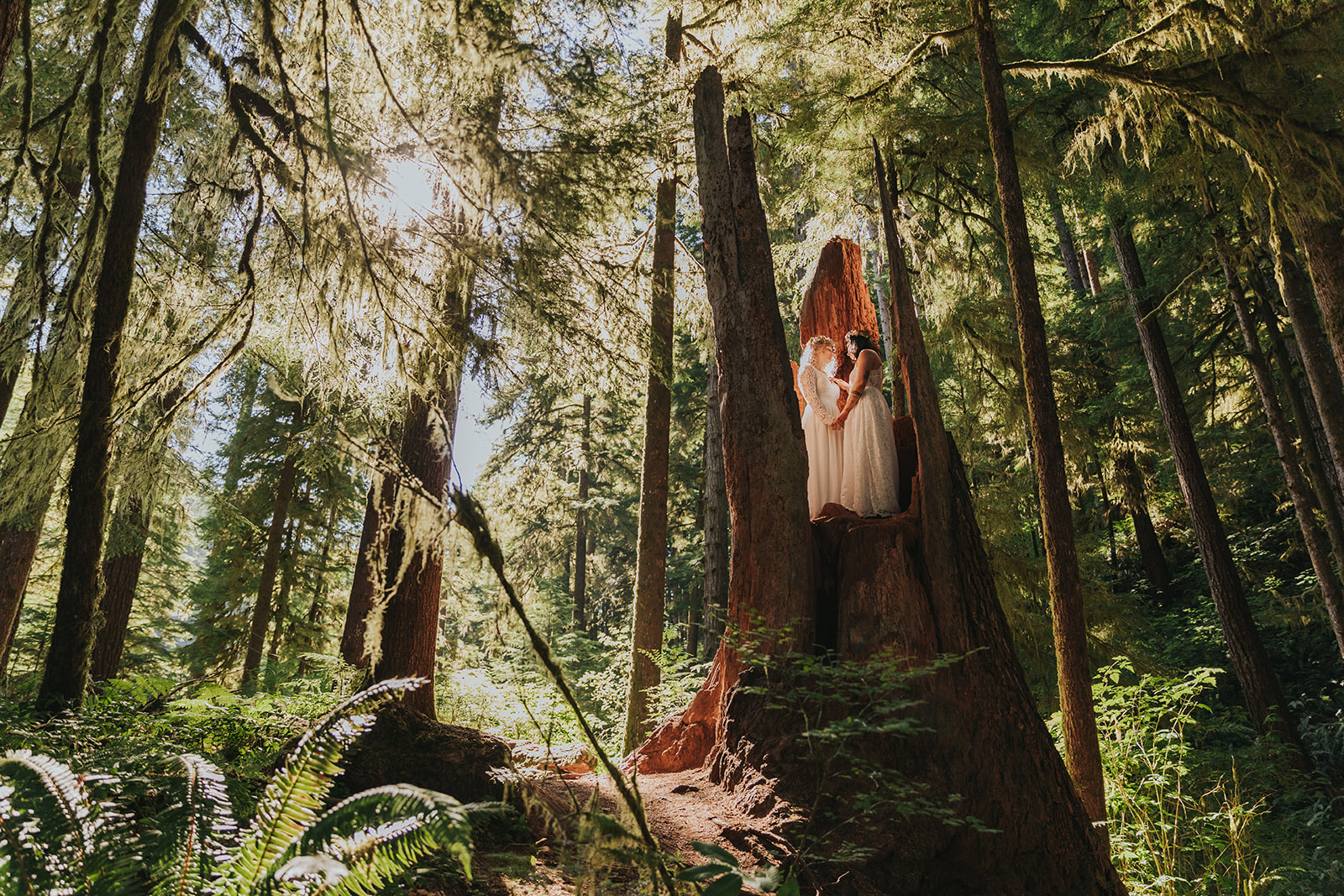 The Enchanted Oregon Forest Elopement of Your Dreams