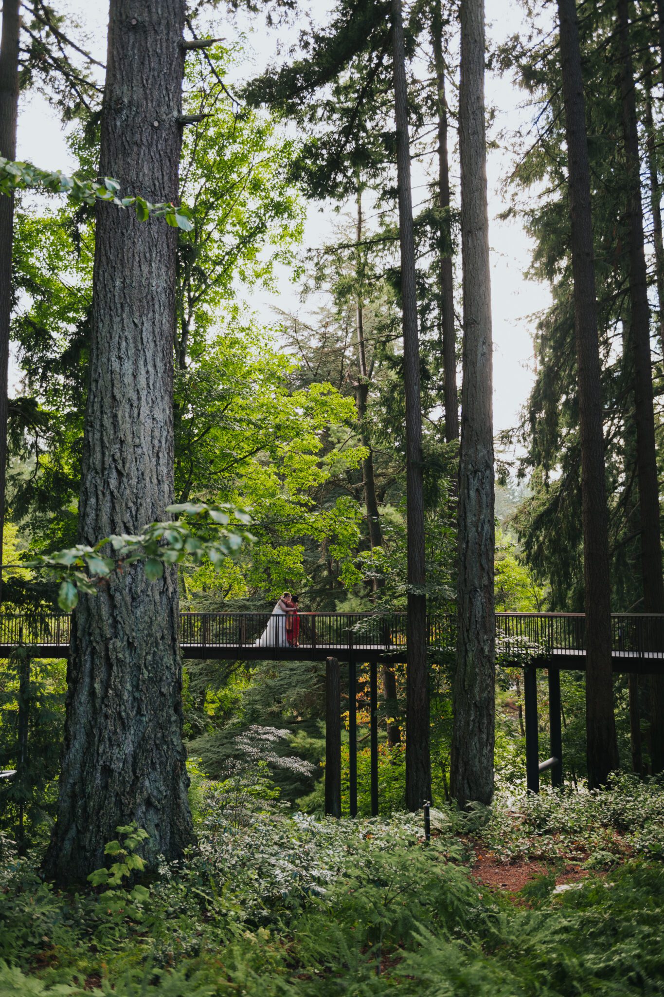 17 Magical, Woodsy Forest Wedding Venues in Oregon [Updated with 2025 ...