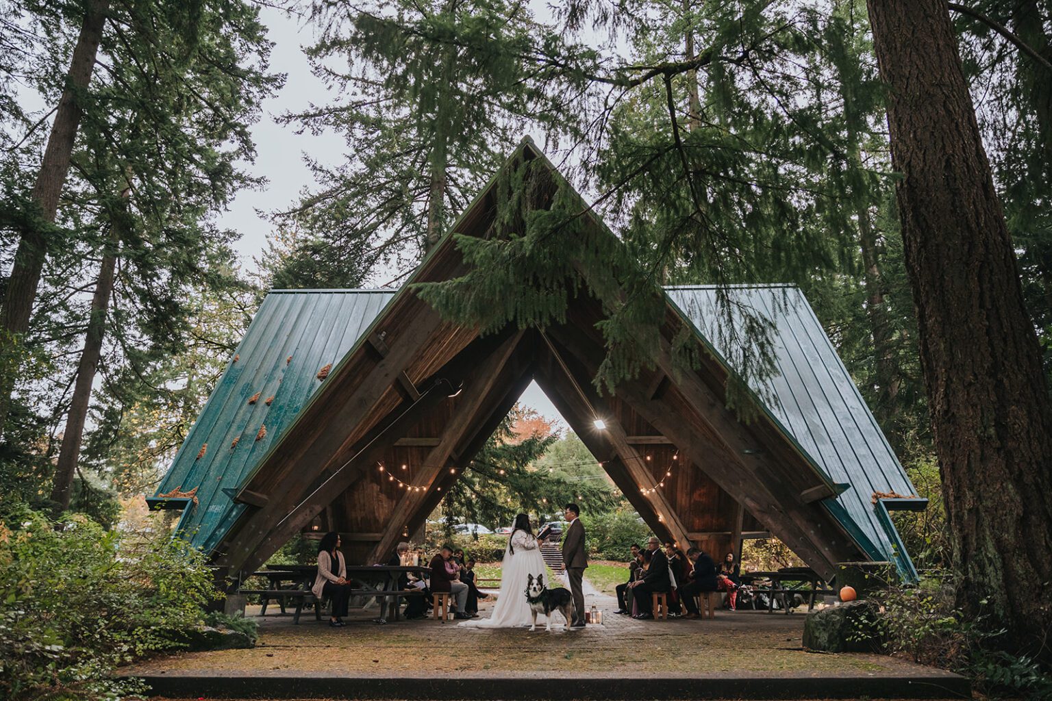 17 Magical, Woodsy Forest Wedding Venues in Oregon [Updated with 2025 ...